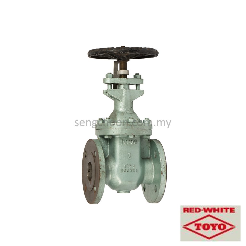 TOYO CAST IRON NRS GATE VALVE FLANGE END ANSI150 , CLASS 125, FIG.415AE - sengchoon